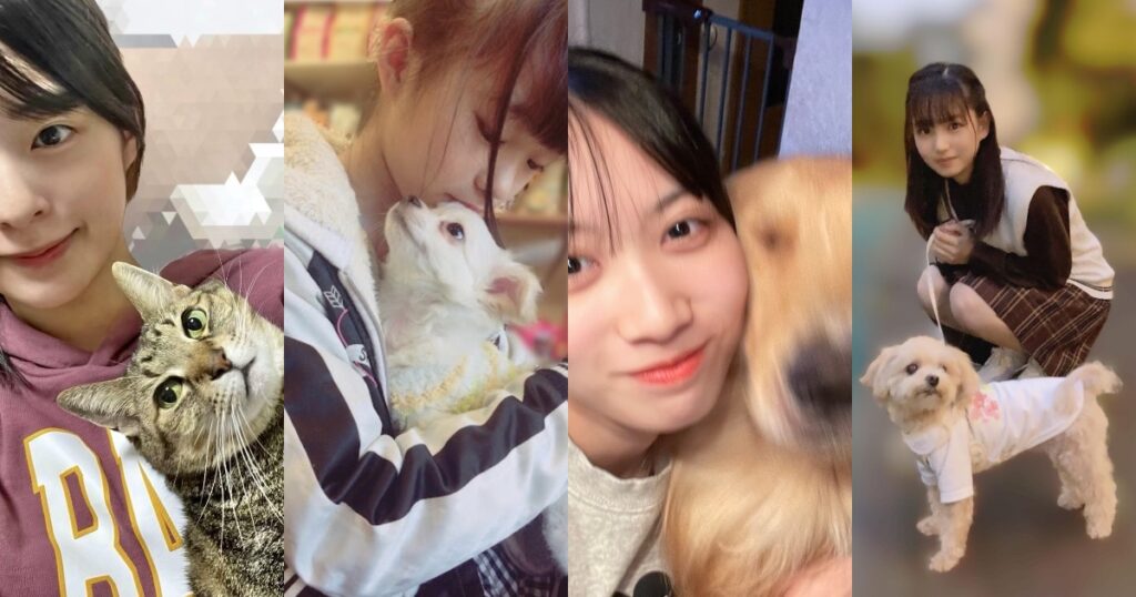 【僕青】僕が見たかった青空 メンバーが飼っているペットまとめ – SEKAIWEEK